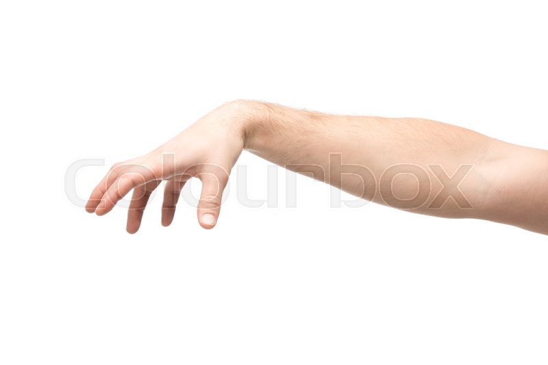 Cropped view of man showing hold ... | Stock image | Colourbox
