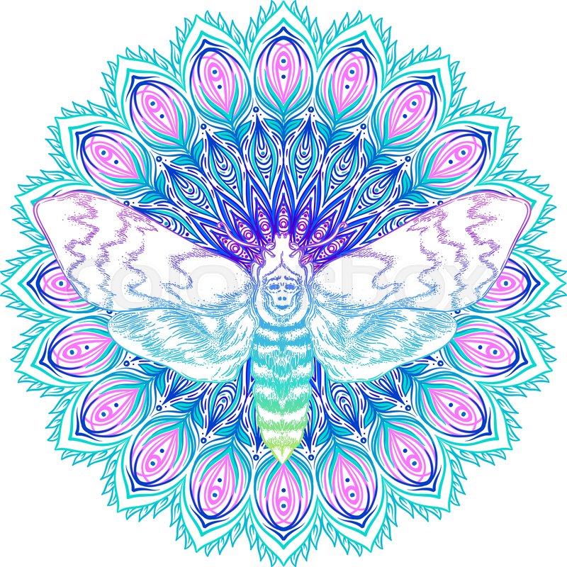 Moth over mandala. Beautiful vintage ... | Stock vector | Colourbox