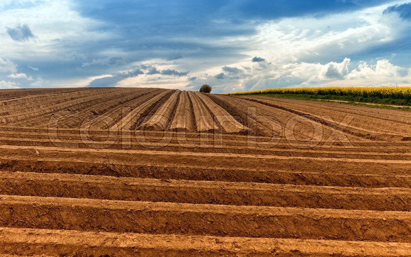 Uneven lines in a field by day | Stock image | Colourbox