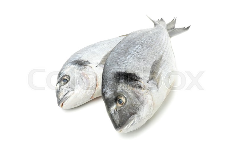 Fresh Dorado fishes isolated on white ... | Stock image | Colourbox