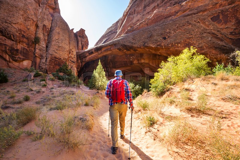Hike in the Utah mountains. Hiking in ... | Stock image | Colourbox