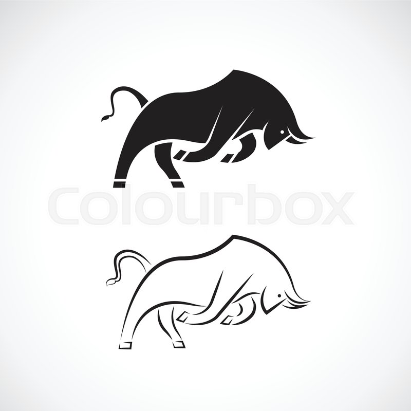 Wild Bull Vector