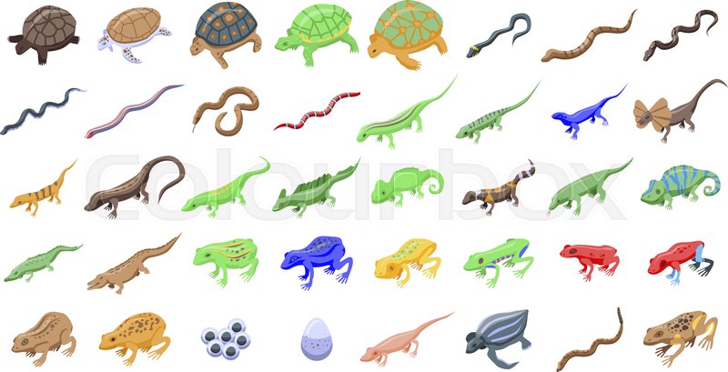 Reptiles and amphibians icons set. ... | Stock vector | Colourbox