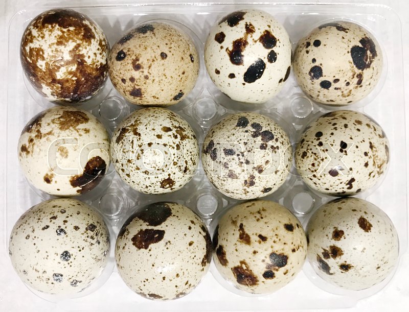 Image Of Fresh Quail Eggs In A Package | Stock image | Colourbox