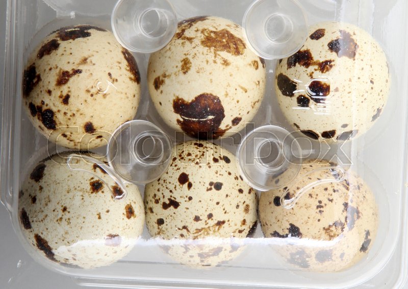 Image Of Fresh Quail Eggs In A Package | Stock image | Colourbox