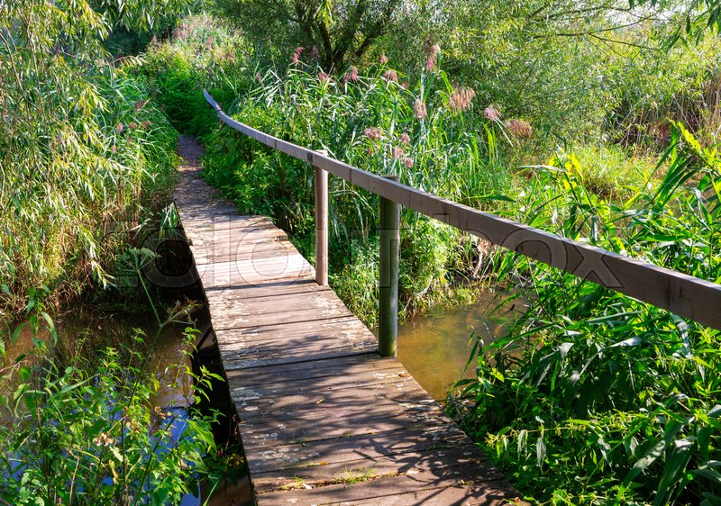 Wooden footbridge in a natural ... | Stock image | Colourbox
