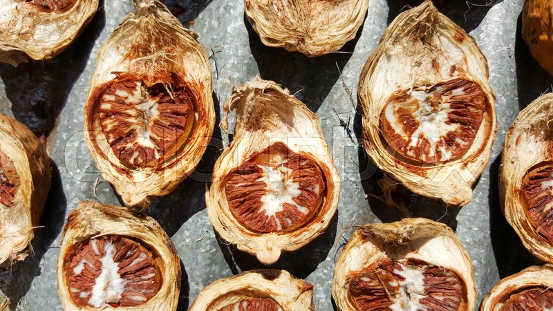Close-up dried areca nut, betel nut, ... | Stock image | Colourbox