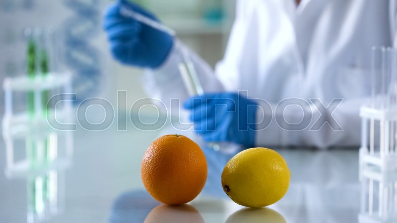 Citrus fruits on lab table, scientist ... | Stock image | Colourbox