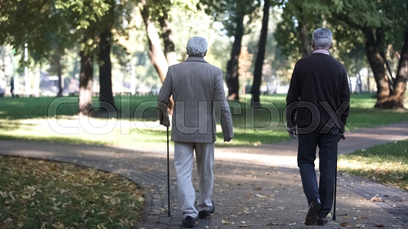 Two old men walking in park on sunny ... | Stock image | Colourbox
