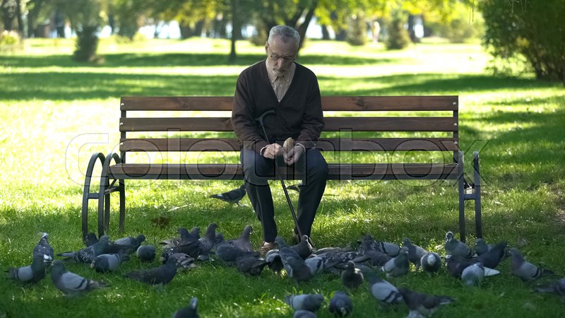 Calm old man sitting on bench in park ... | Stock image | Colourbox