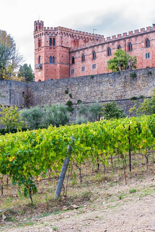 Brolio castle near Gaiole in Chianti on ... | Stock image | Colourbox