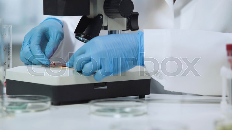 Professional bacteriologist putting ... | Stock image | Colourbox