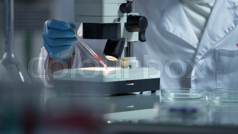 Medical examiner researching blood ... | Stock image | Colourbox