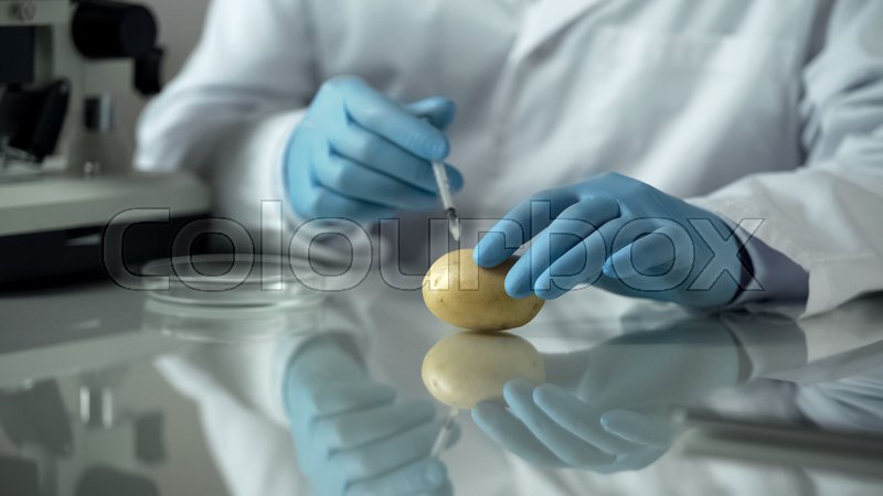 Scientist making injection with ... | Stock image | Colourbox