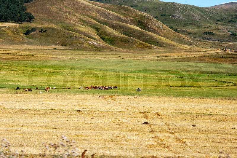 Landscape in Turkey | Stock image | Colourbox