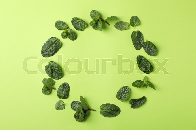 Circle of mint on green background, ... | Stock image | Colourbox