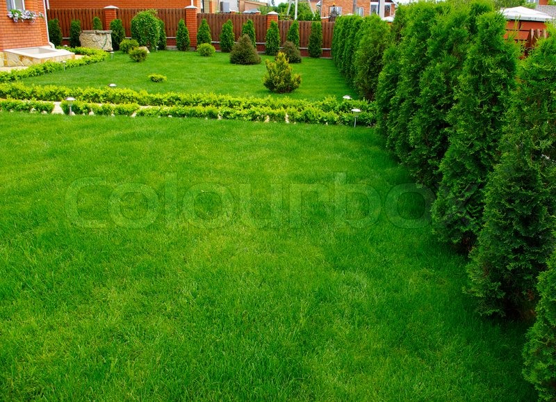 Garden | Stock image | Colourbox