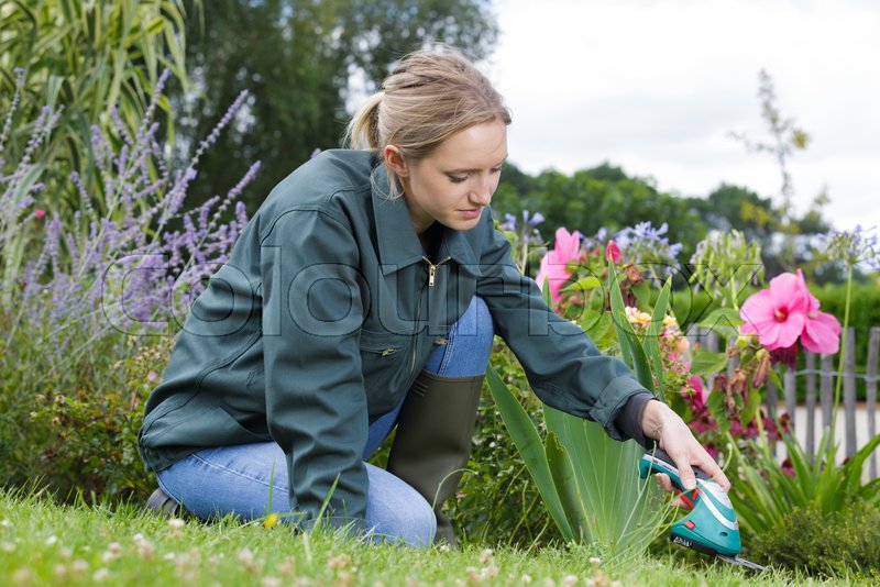 A woman gardening in backyard | Stock image | Colourbox