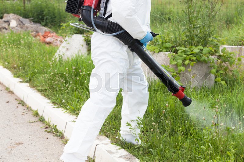 Man spraying insects outdoors. Pest ... | Stock image | Colourbox