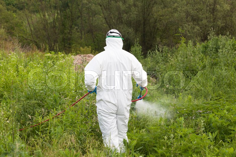 Man spraying insects outdoors. Pest ... | Stock image | Colourbox