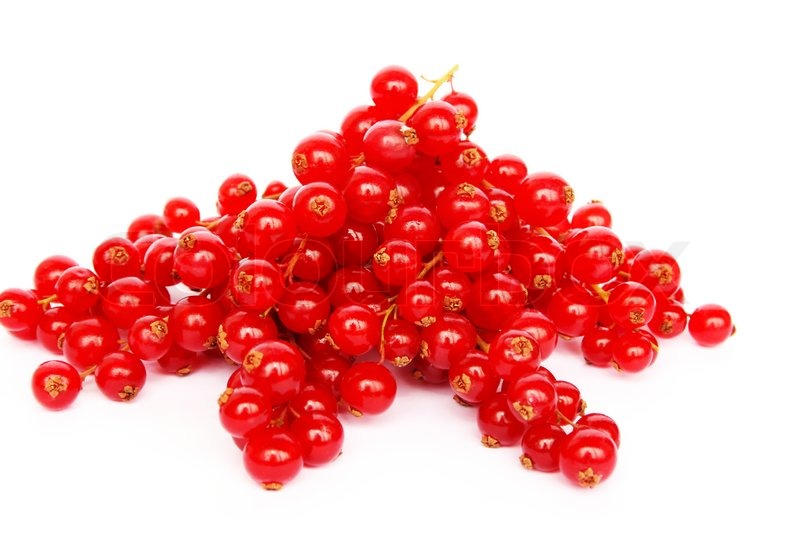 Red currants | Stock image | Colourbox