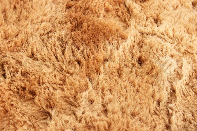 Fur background | Stock image | Colourbox