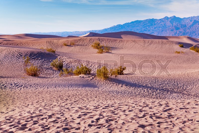 Desert sands with bushed and dunes ... | Stock image | Colourbox