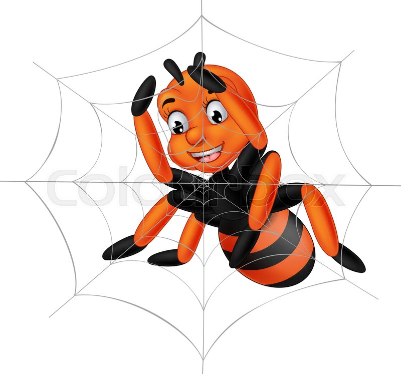Cute Cartoon Spider Web