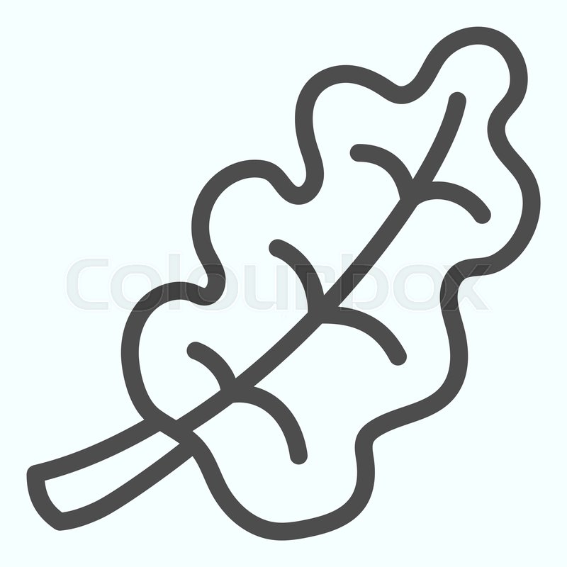 Oak Tree Leaf Outline
