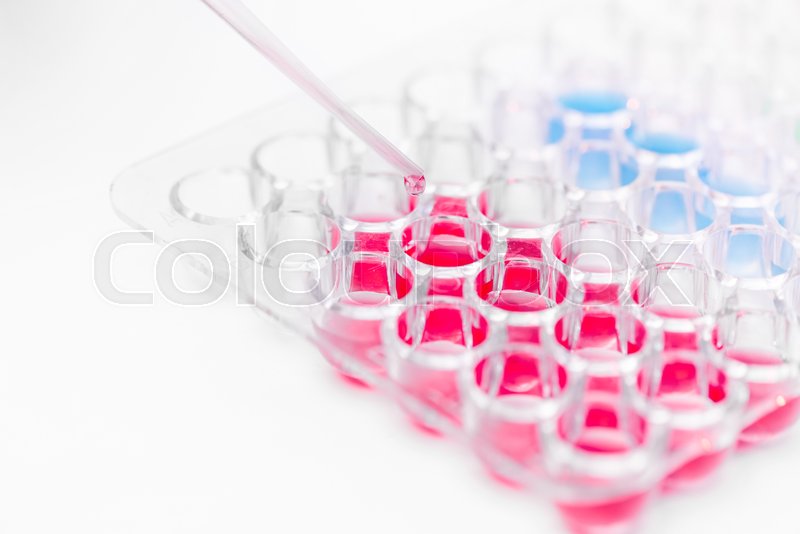 Set of plastic cells for new discovered ... | Stock image | Colourbox