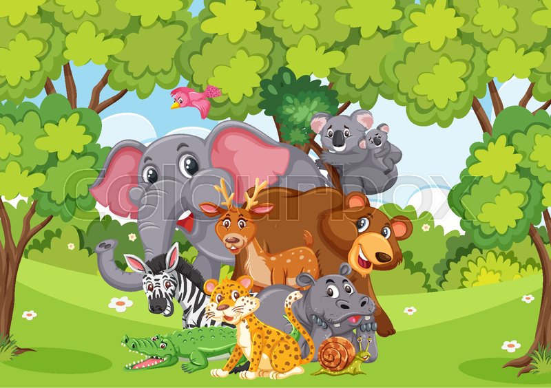 All Animals In One Picture In Forest