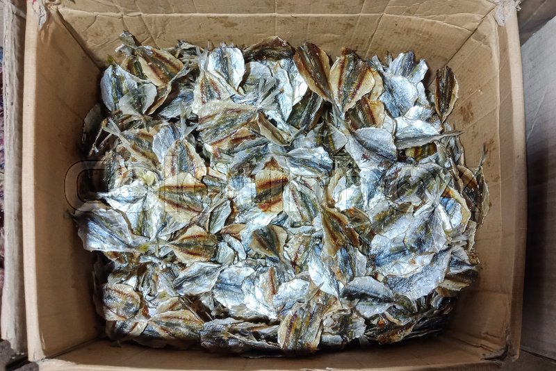 Group of Small dry silver fish in box ... | Stock image | Colourbox