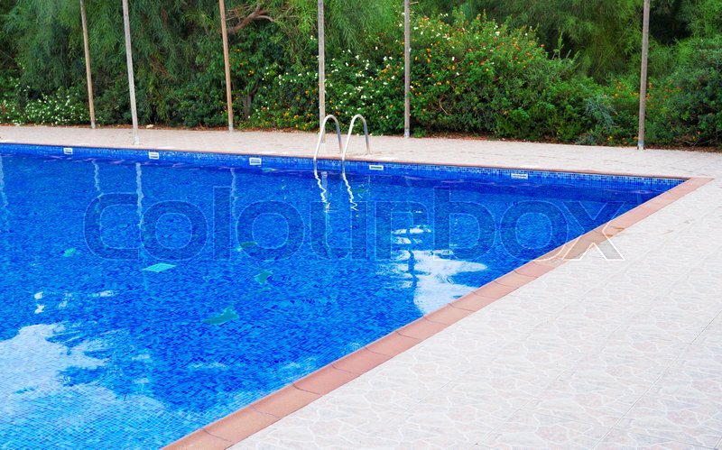Outdoor swimming pool at summer time. | Stock image | Colourbox
