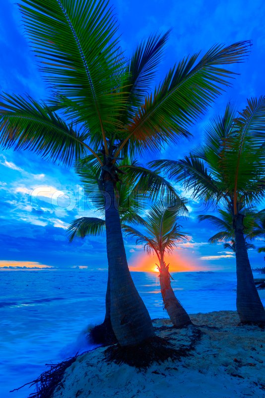 Sunset on a beautiful Caribbean beach. | Stock image | Colourbox