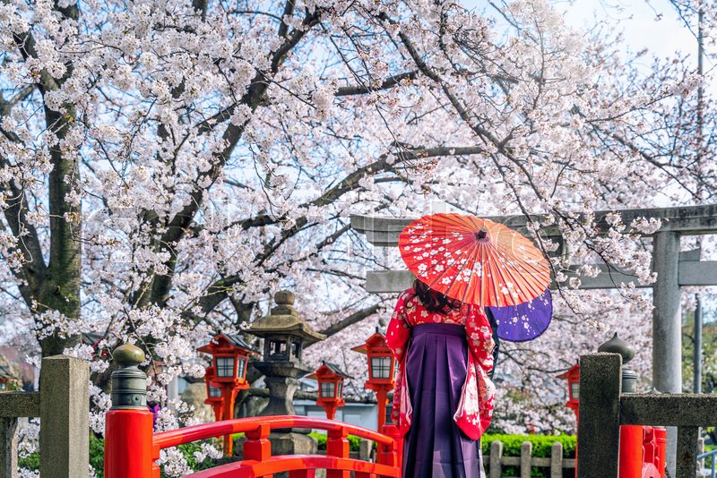 Cherry Blossom Kimono