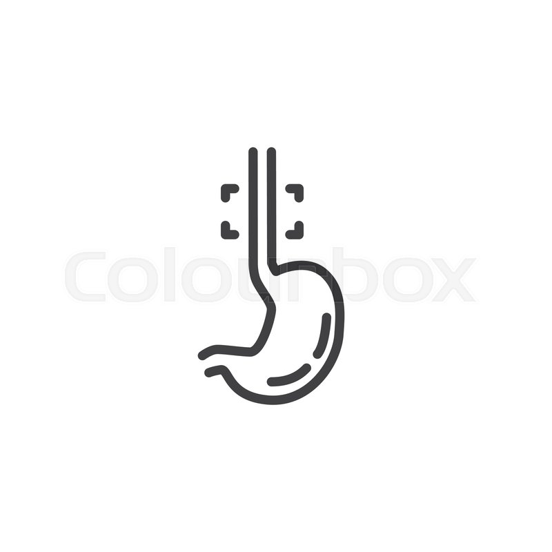 Esophagus line icon. linear style sign ... | Stock vector | Colourbox