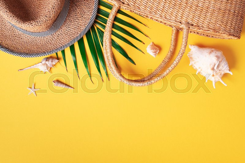 Flat Lay Vector Graphics | Everypixel