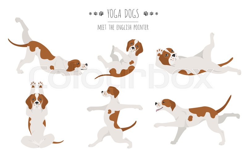 Yoga dogs poses and exercises poster ... | Stock vector | Colourbox