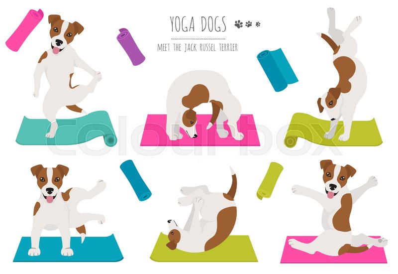 Yoga dogs poses and exercises poster ... | Stock vector | Colourbox