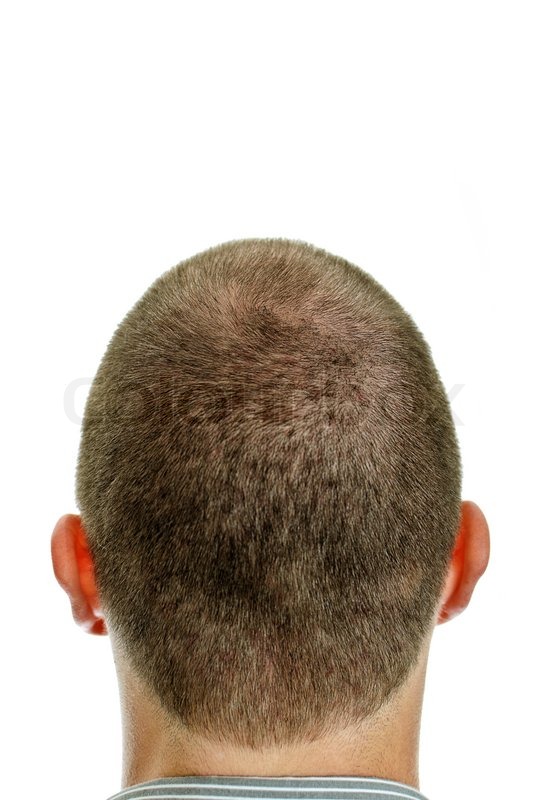 Closeup of the back of mans head Isolated on white | Stock Photo ...