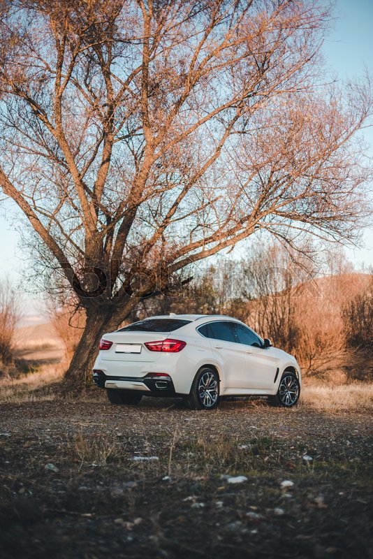 White sedan car parked in the forest | Stock image | Colourbox