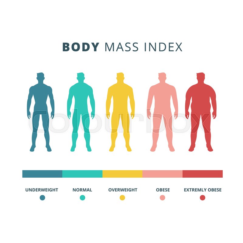 Body mass index colorful vector flat ... | Stock vector | Colourbox