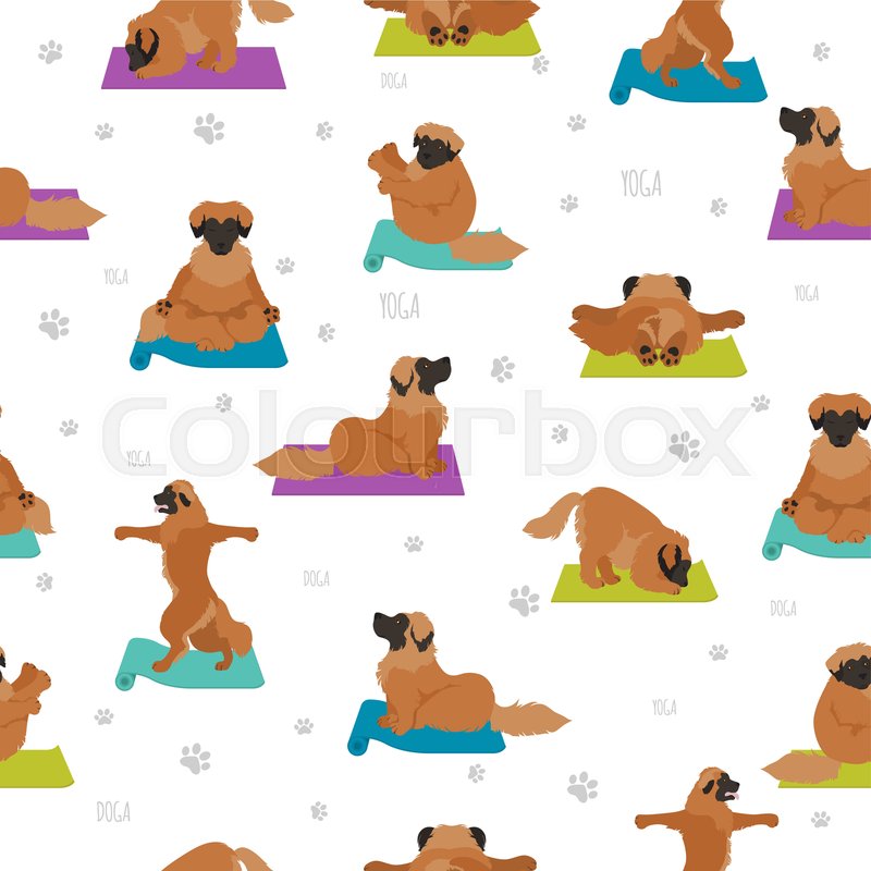Yoga dogs poses and exercises poster ... | Stock vector | Colourbox