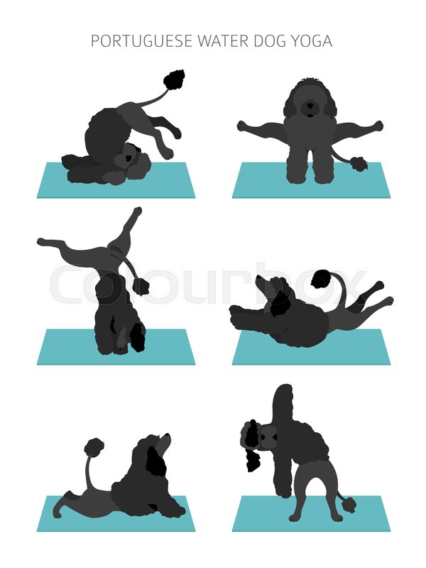 Yoga dogs poses and exercises poster ... | Stock vector | Colourbox