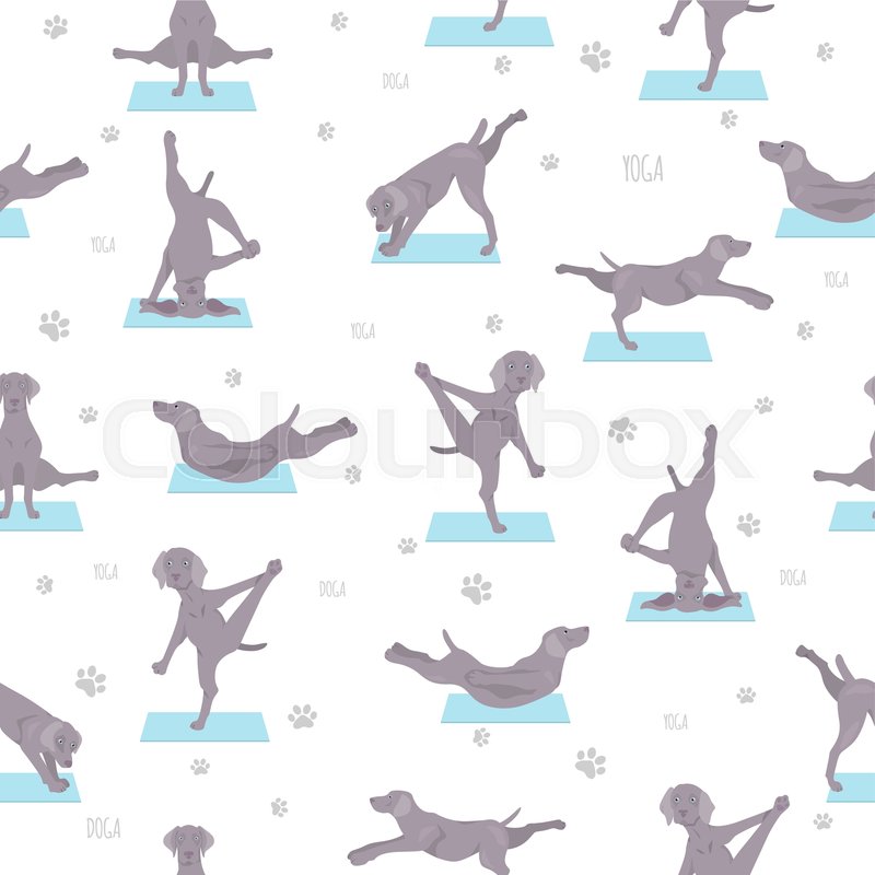Yoga dogs poses and exercises seamless ... | Stock vector | Colourbox