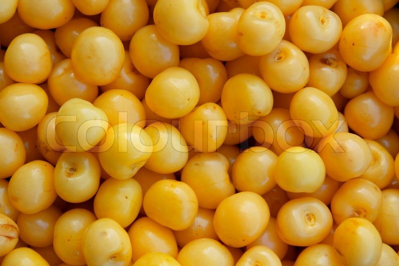 Yellow cherry background | Stock image | Colourbox
