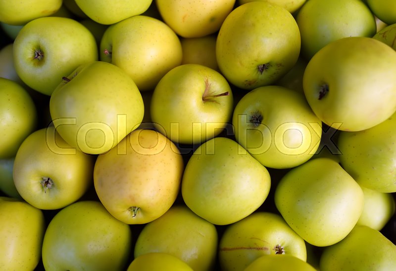 Fresh healthy bio green apples in ... | Stock image | Colourbox