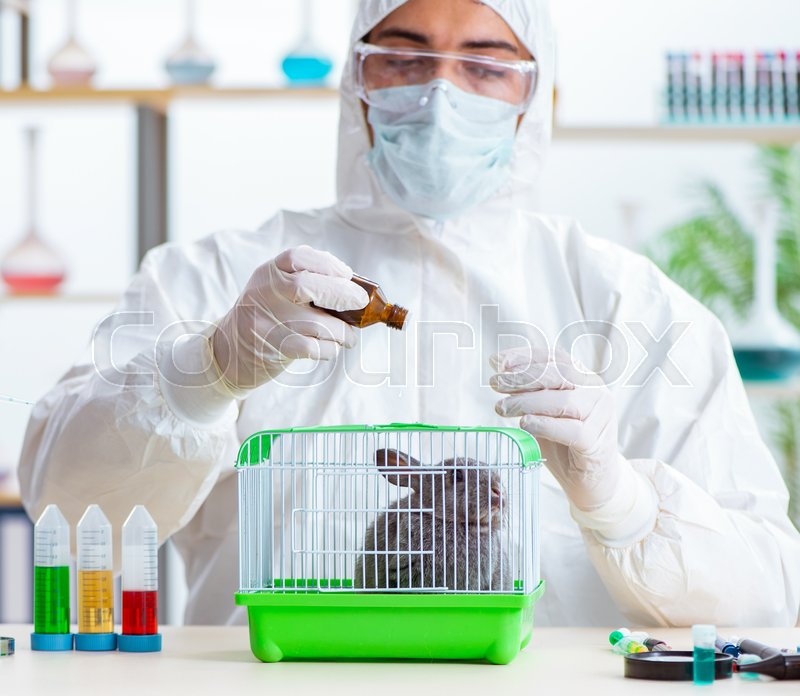 The scientist doing testing on animals ... | Stock image | Colourbox