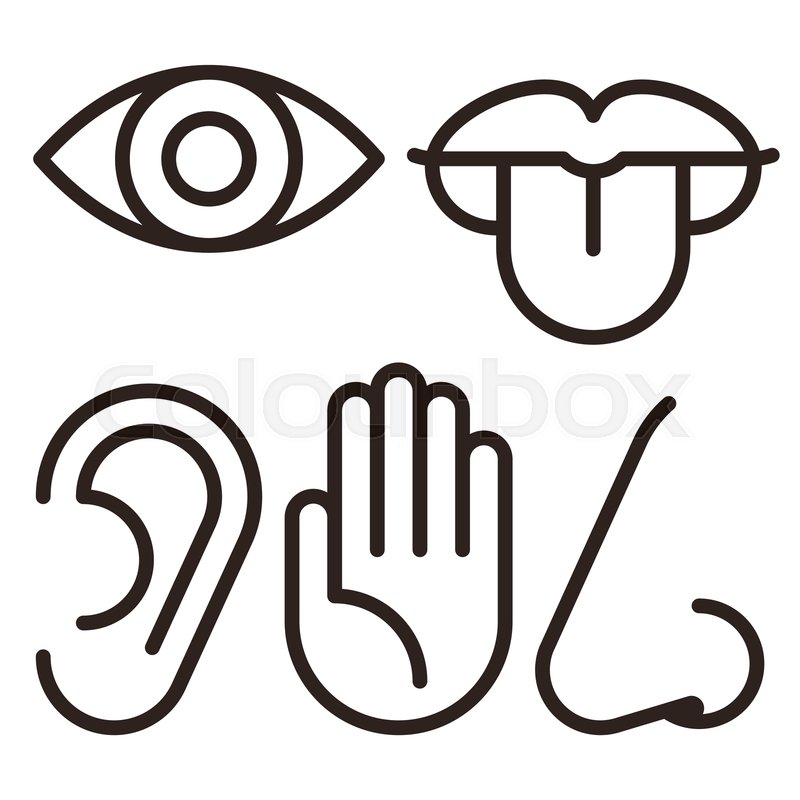 5 Senses Clipart Black And White