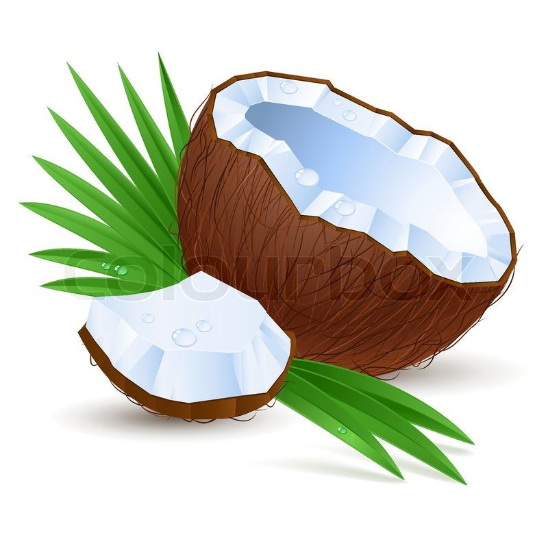 Coconut Animated